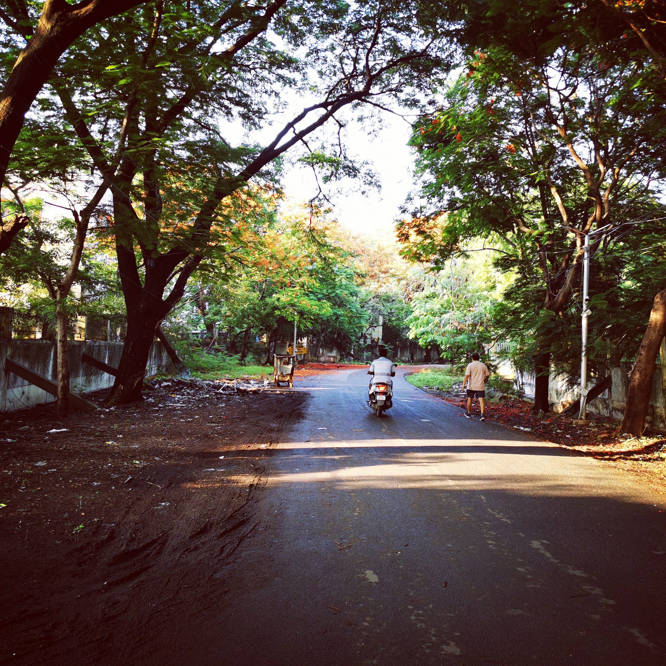 Sunshine Walk – Chennai Daily Photo